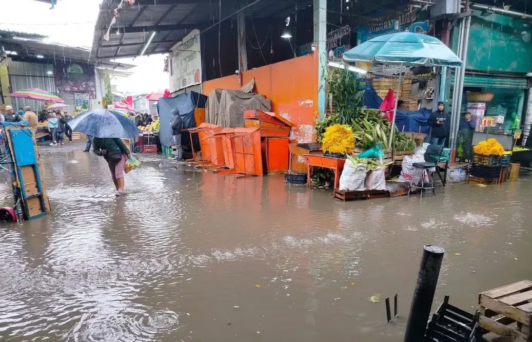 Mexico Weather June 24: Rainy season intensifies across much of the ...