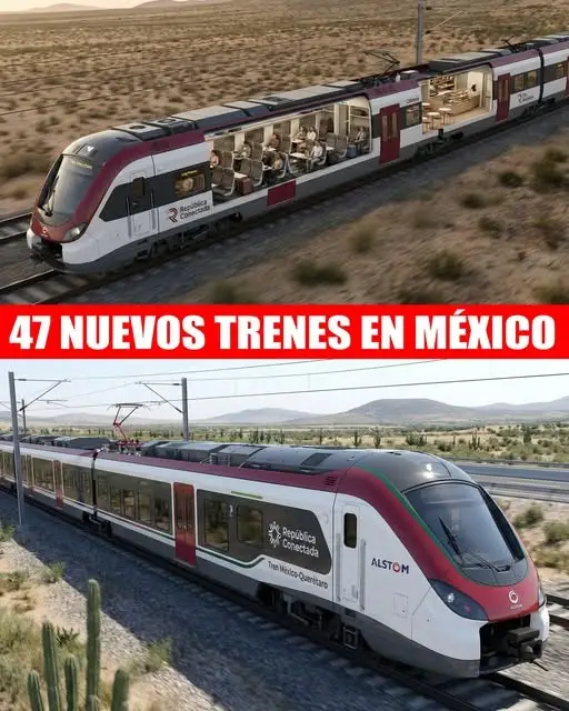 These are the 47 new trains that will connect Mexico