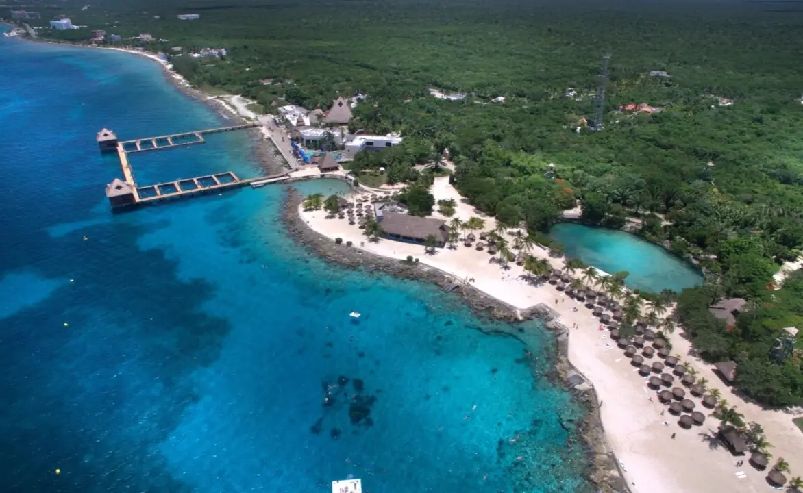 Greenpeace warns of environmental damage to Cozumel from a beach club ...