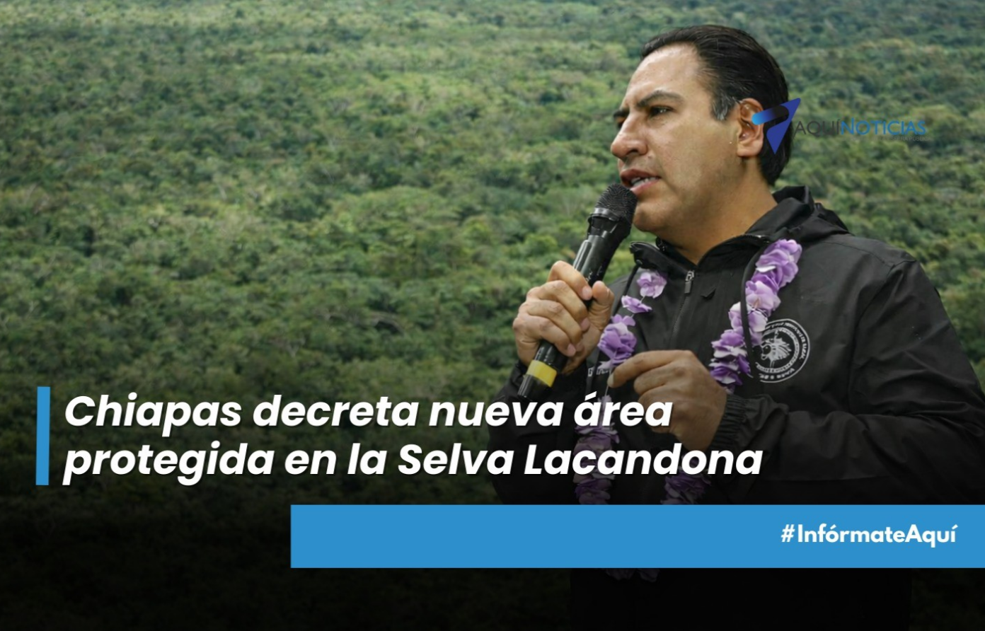 Chiapas expands its conservation map with a new reserve in the Lacandon ...