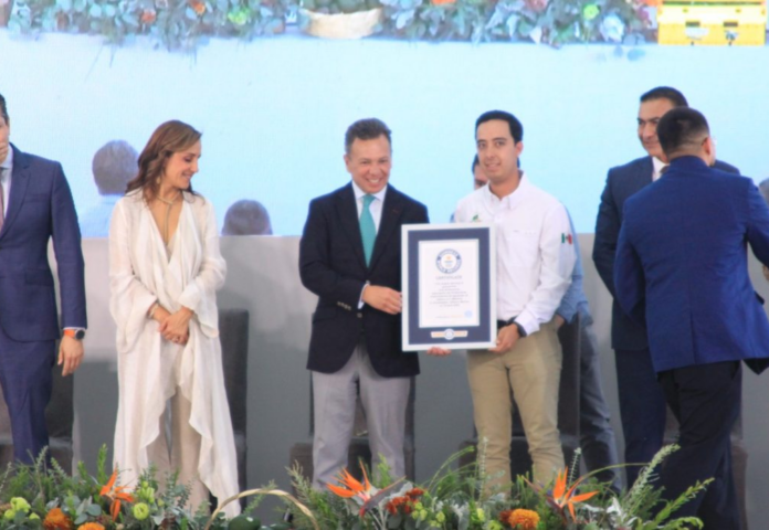 Jalisco achieves Guinness World Record for the largest guacamole in the ...